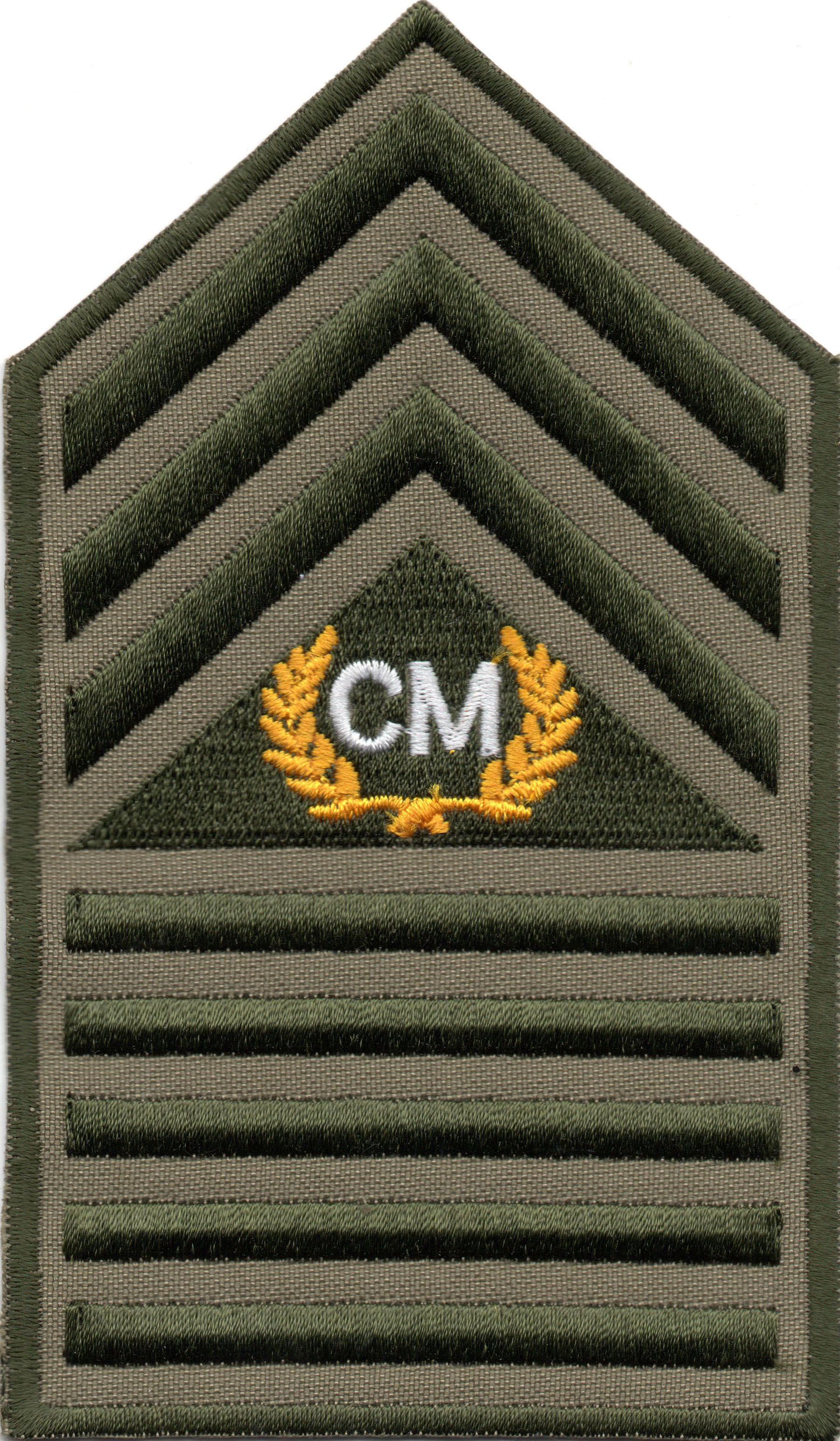 ARMY CHEVRON RANKS ( ARMY GOU RANKS ) PAIR ( 2 PCS. ) | Lazada PH