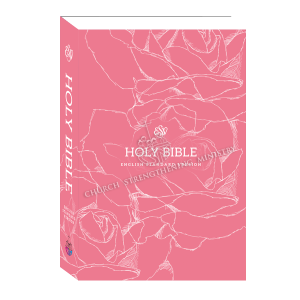 ESV Bible (Old and New Testament) PINK ROSE | Lazada PH