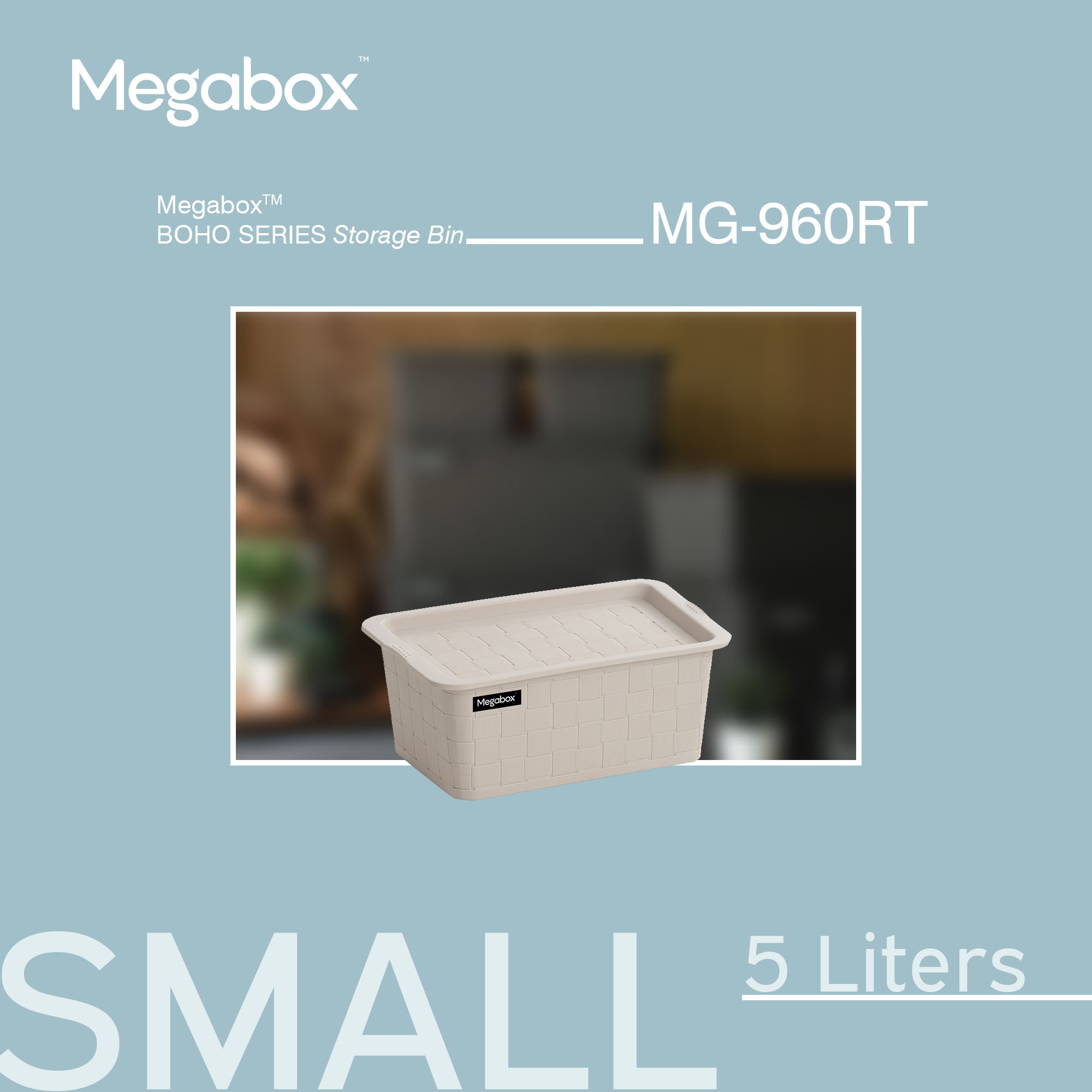 Megabox MG 960 RT Storage Bin Large BUNDLE OF 3 | Lazada PH