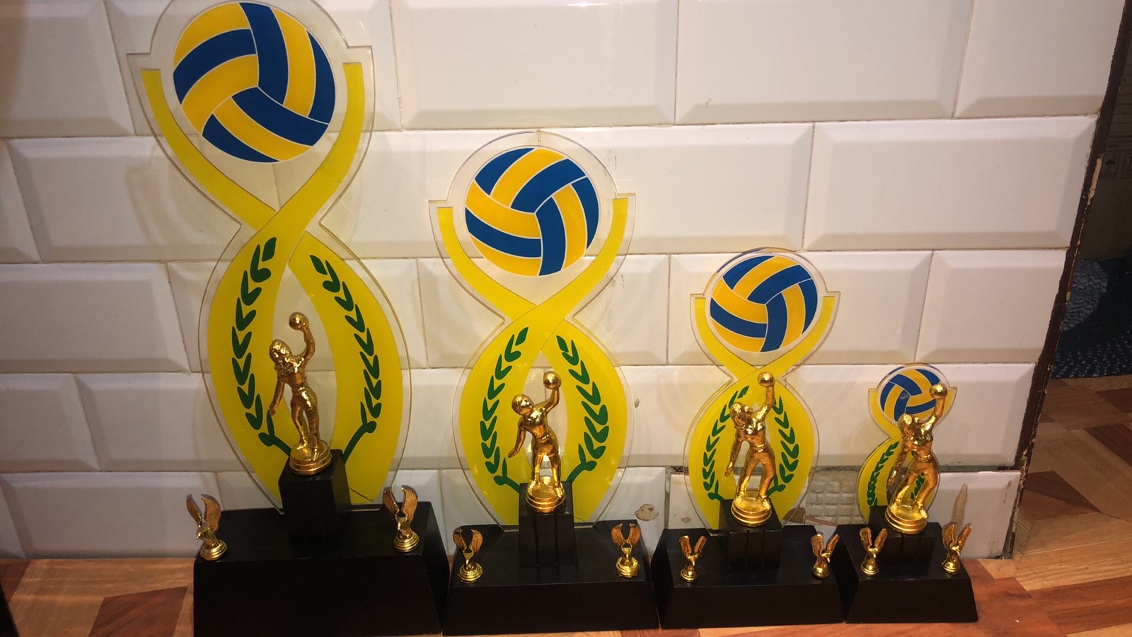 MR2 Sports | Acrylic Trophy Volleyball Victory with Gold Figure Type ...