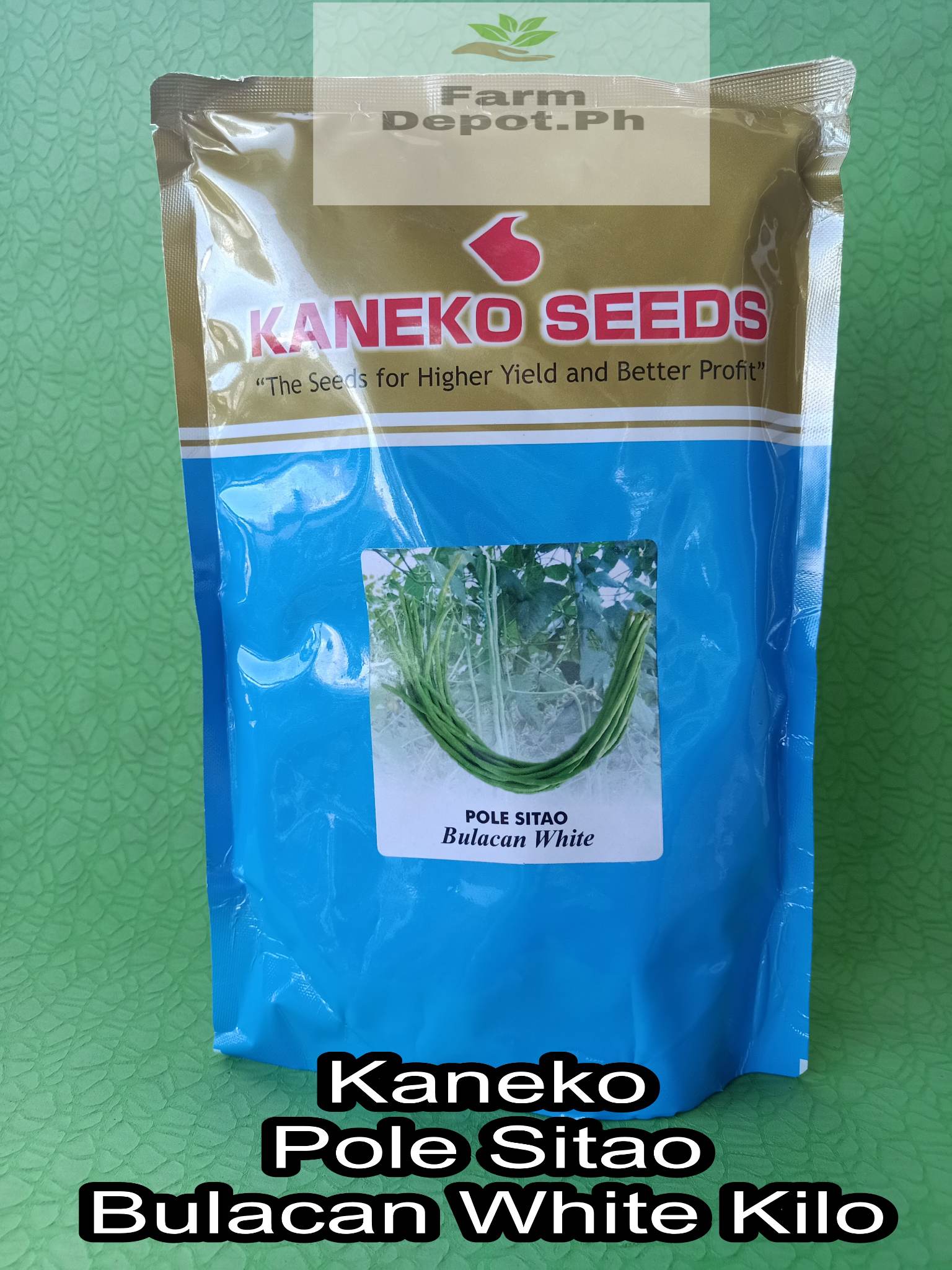 Kaneko Seeds Pole Sitao Bulacan White Kilo | Lazada PH