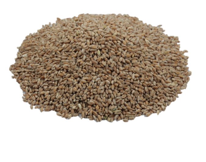 Trigo Red 1kg | Lazada PH