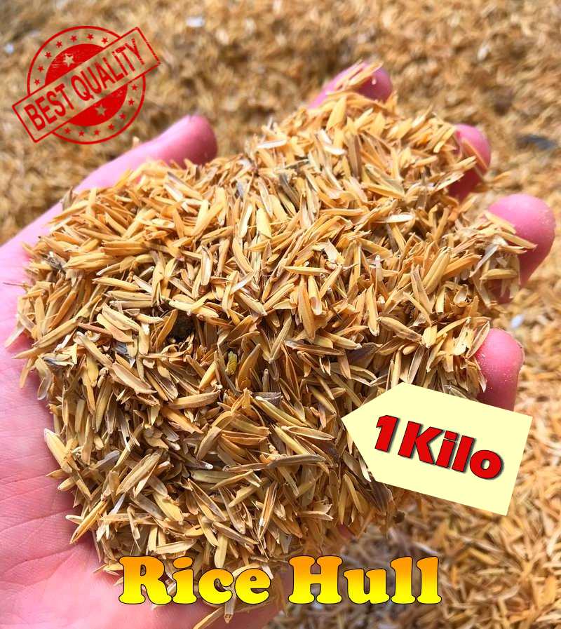 (1KILO) Rice Hull/Malinis (Ipa) - For Ornamental Plants, Veggies, Herbs ...