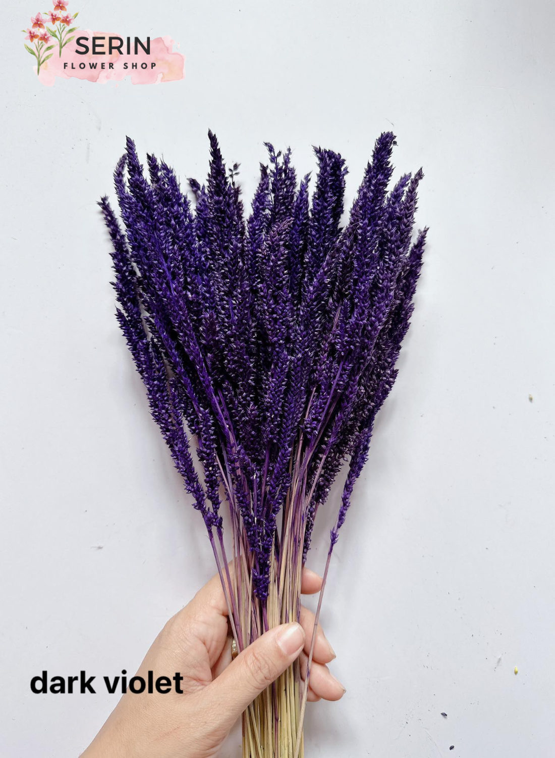 Trigo Dried Flower Colored Trigo (30 stems bundle) BEST SELLER FLOWER ...