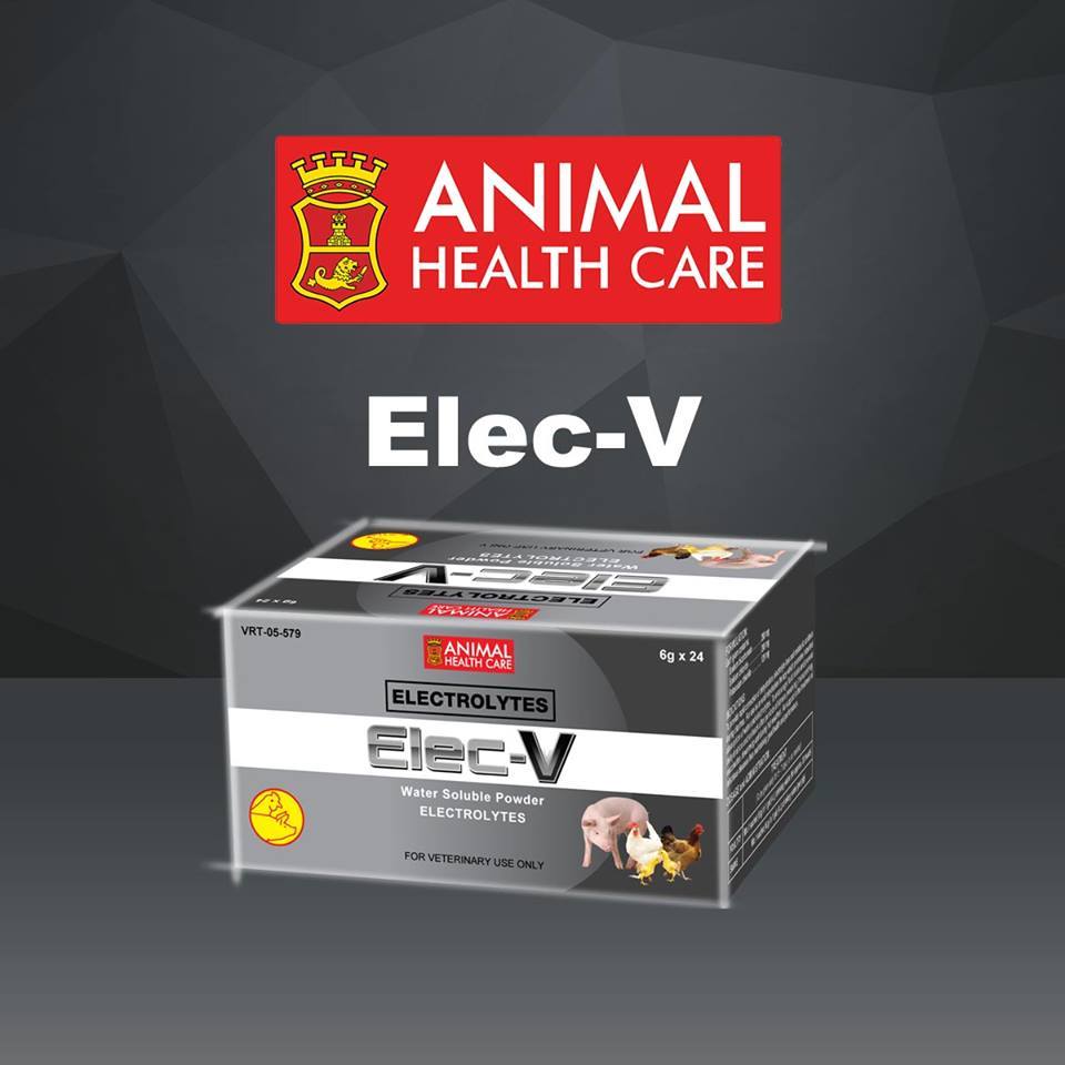 Viddavet-24 packs / 1 box Elec-V Sachet (6 grams each) | Lazada PH