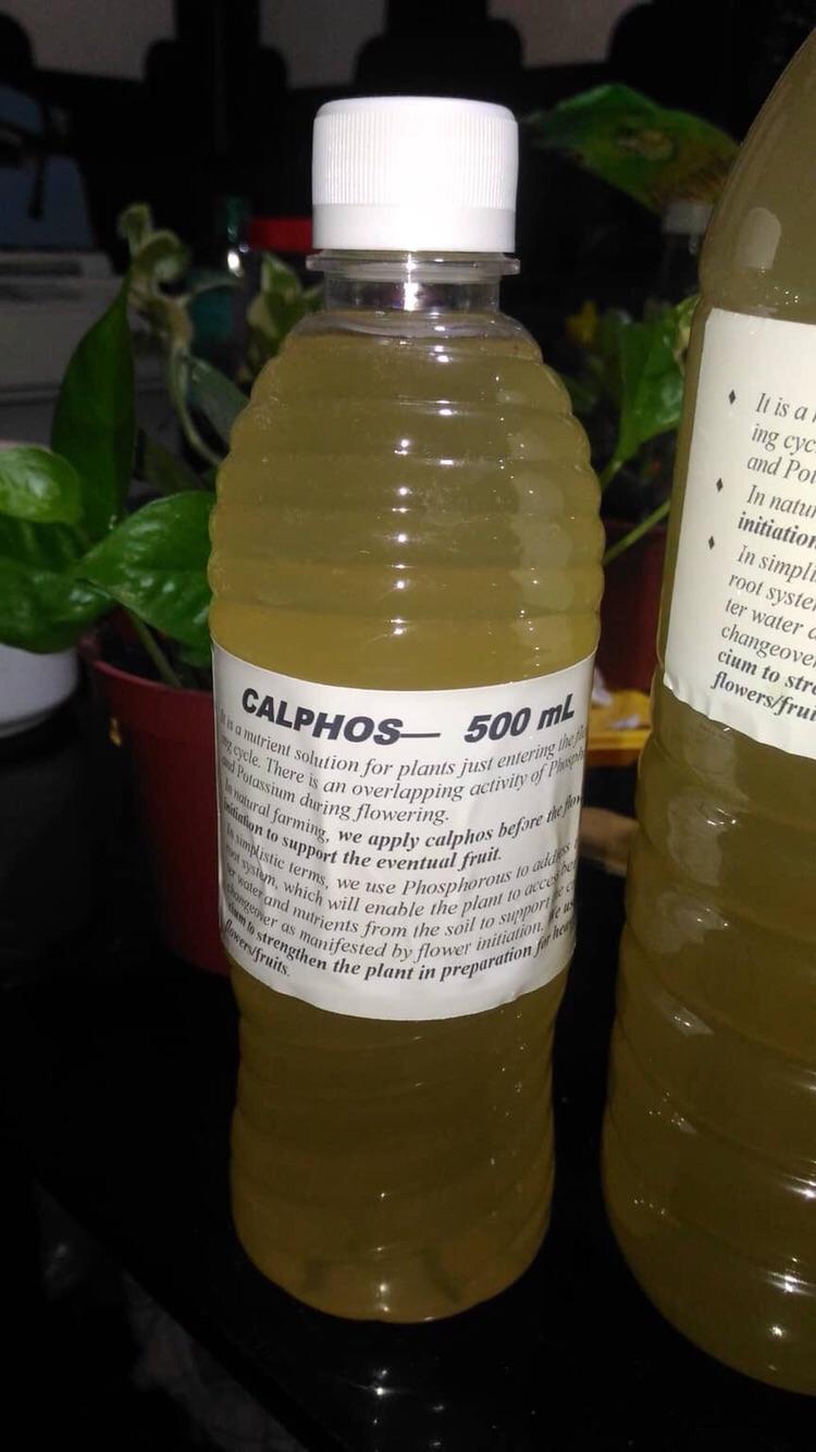 Induce flowering - Foliar liquid solution -CALPHOS ORGANIC LIQUID ...