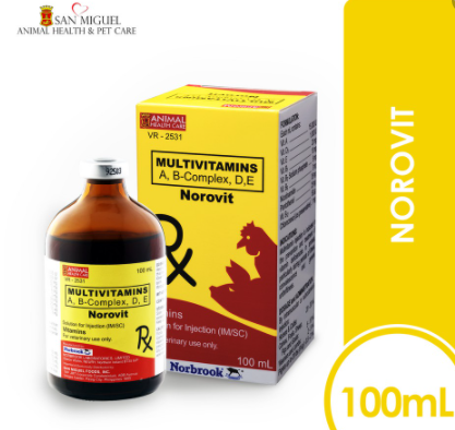 NOROVIT 100ml | Multivitamins | Lazada PH