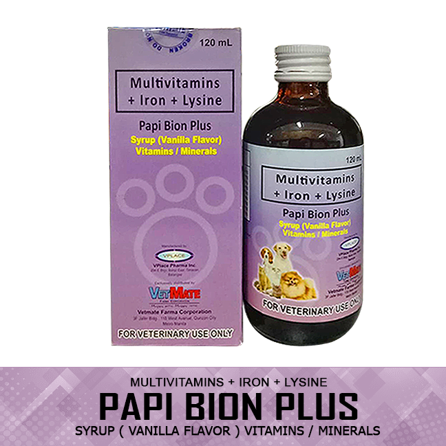Papi Bion Plus Syrup Multivitamins + Iron + Lysine Vanilla Flavor ...