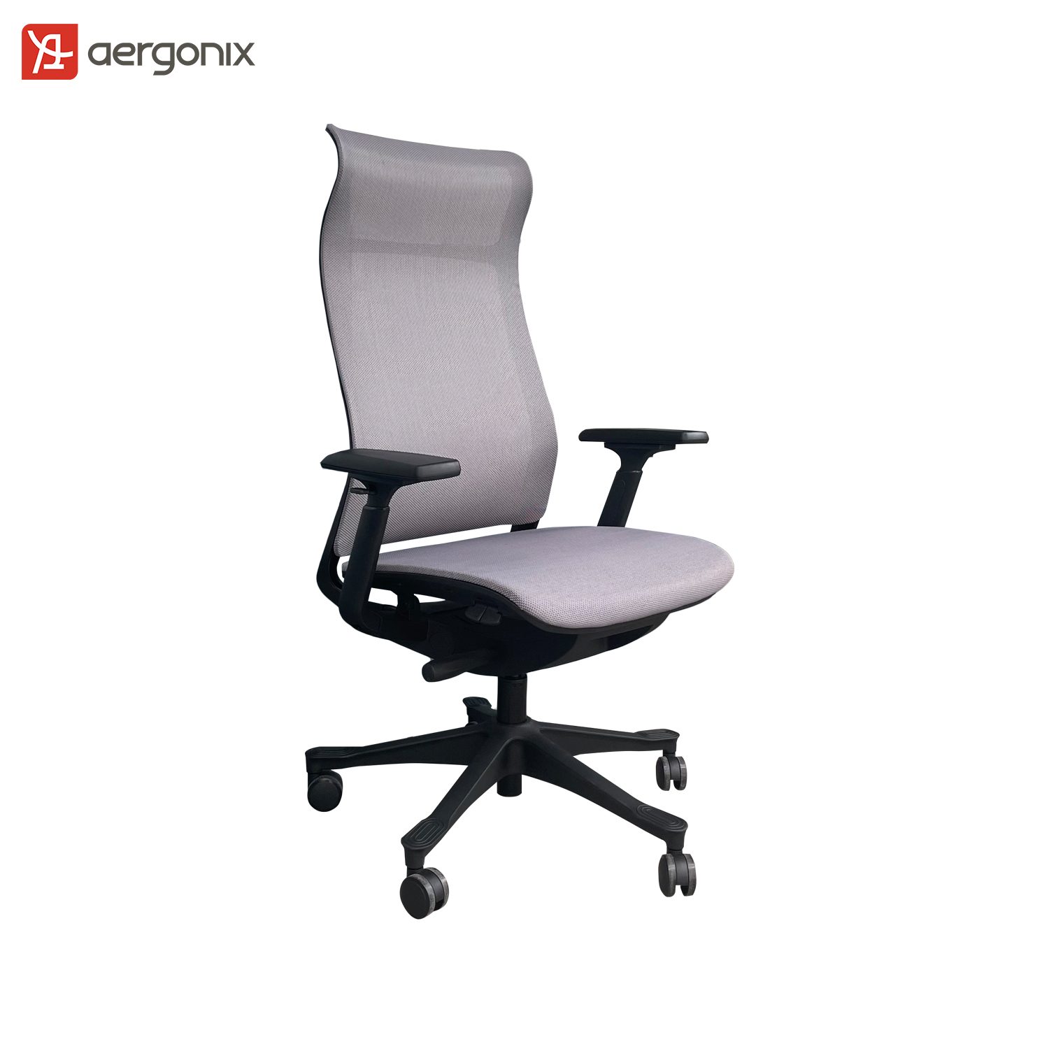 Aergonix™ Ergonomic Chair V5 | Lazada PH