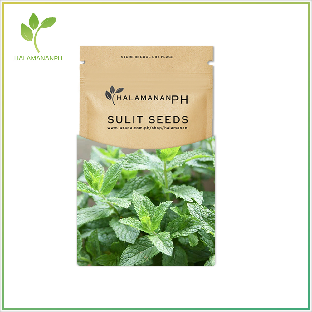 Mint - Spearmint | 100 Seeds | Premium Herbs Seeds | [Halamanan PH] | Lazada PH