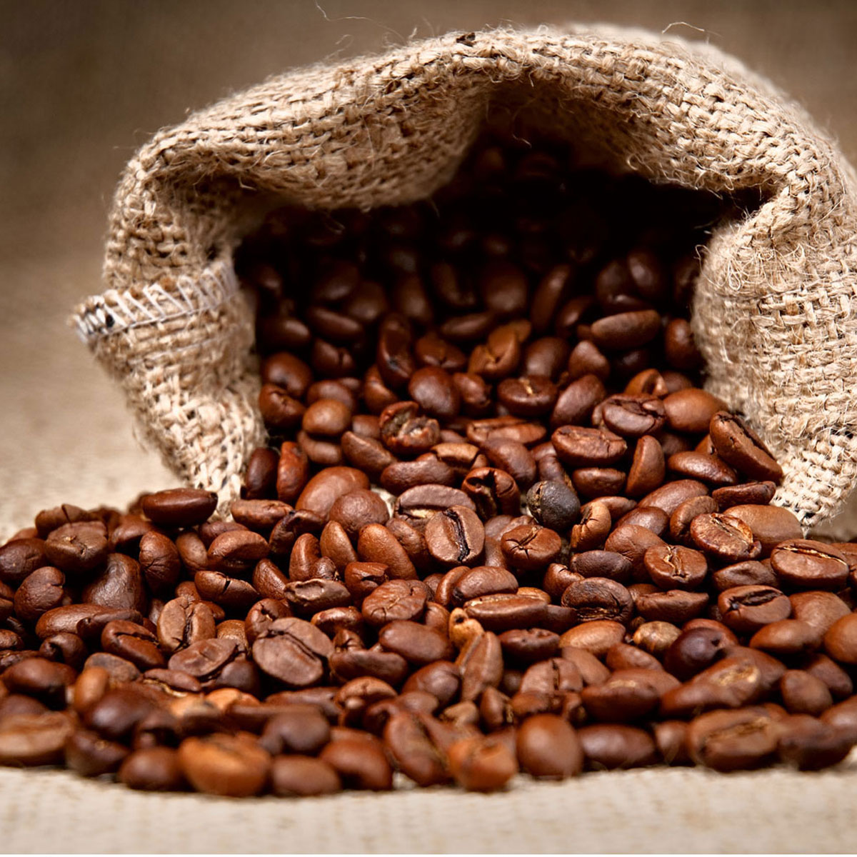 House Blend Arabica Coffee - Medium Roast | Lazada PH