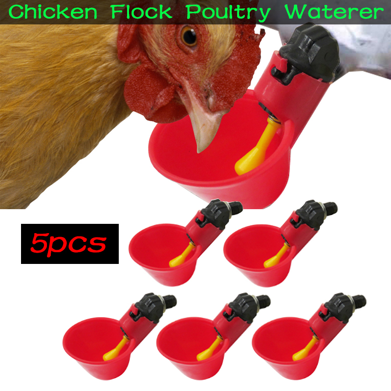 Chicken Nipple Water Cup Quail Hanging Drinking Bowl automatic Bird ...