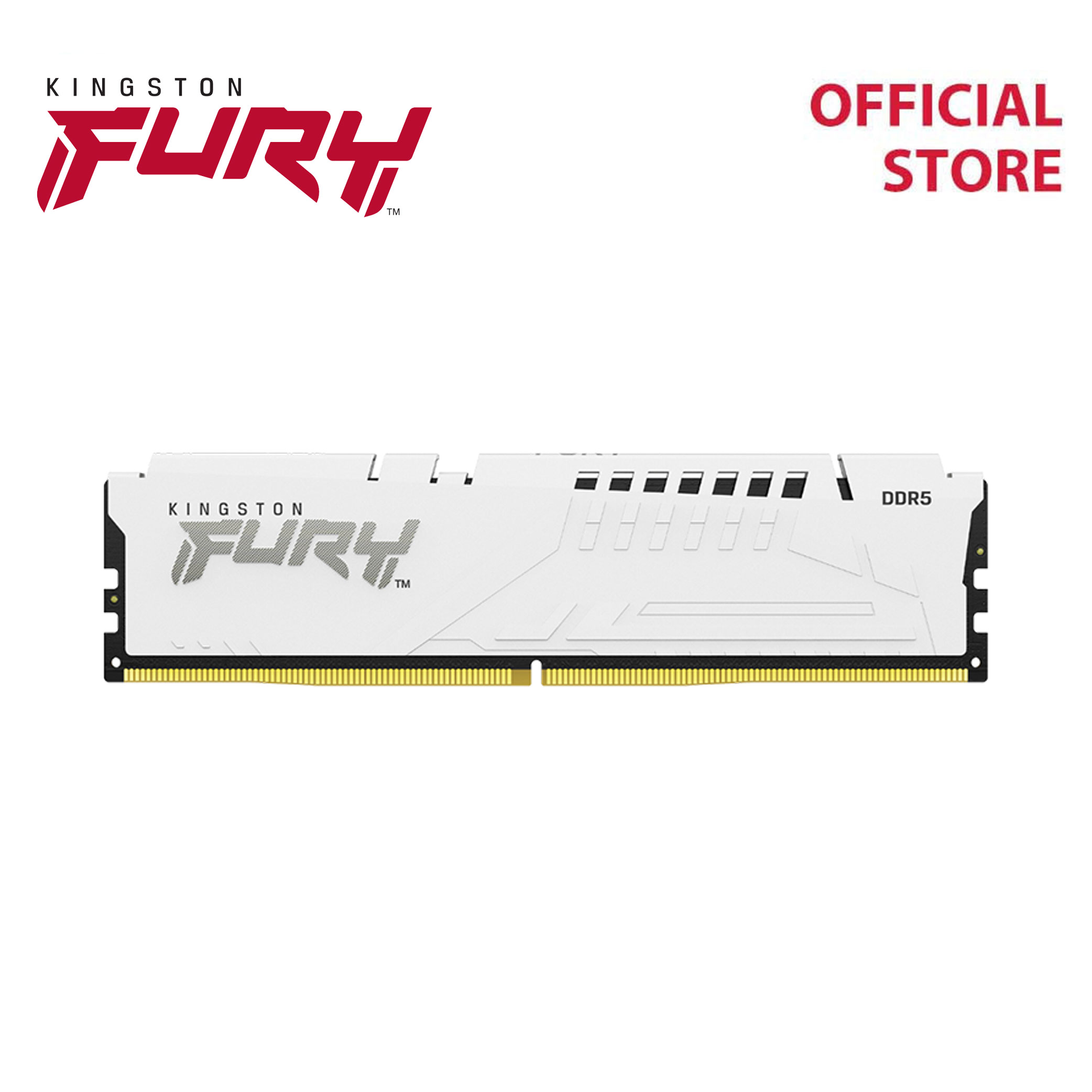 Kingston Fury Beast DDR5 16GB/32GB 16Gbit DRAM AMD EXPO Gaming Desktop Memory White | Lazada PH