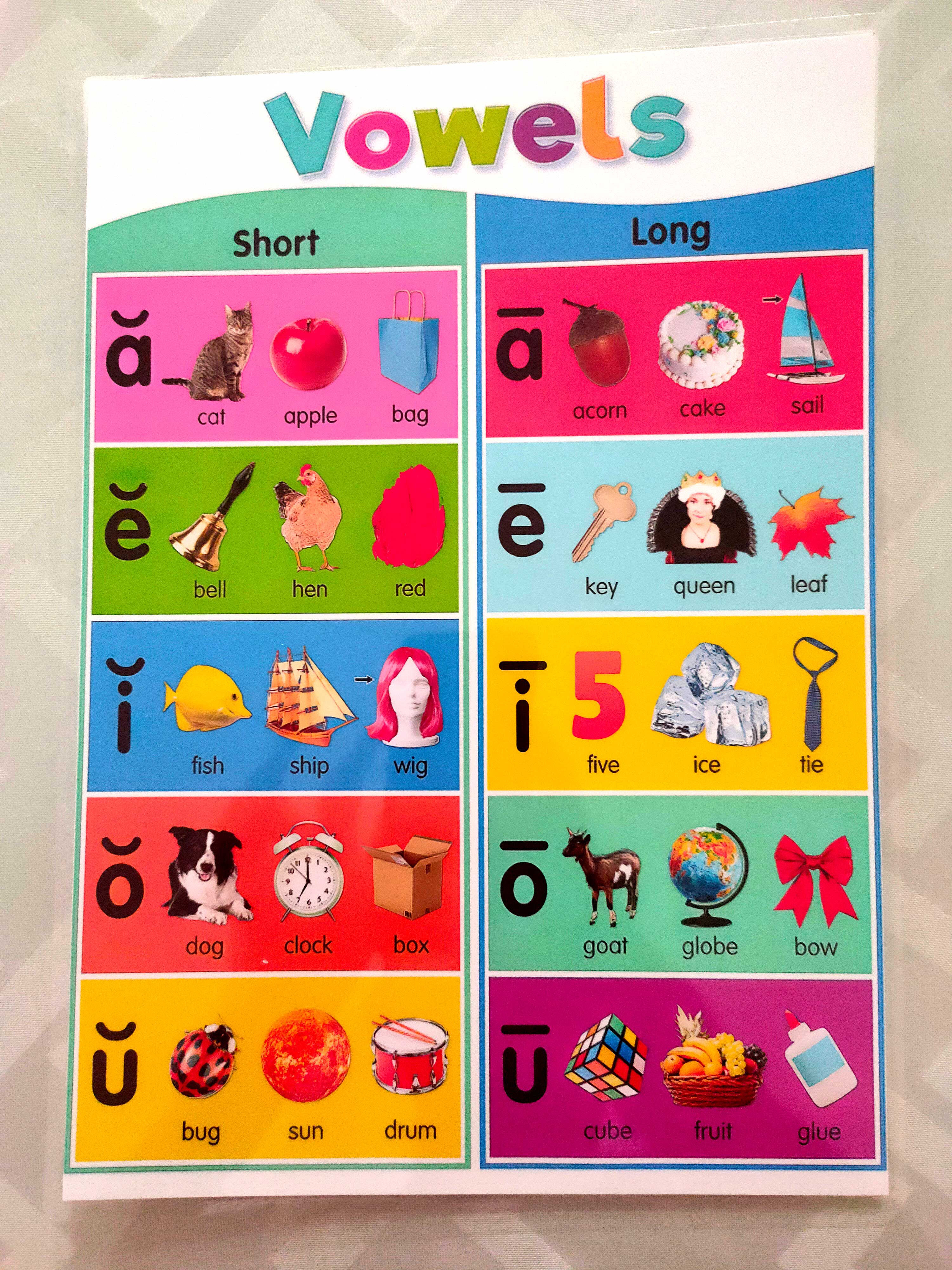 LAMINATED EDUCATIONAL CHART FOR CHILDREN | Lazada PH