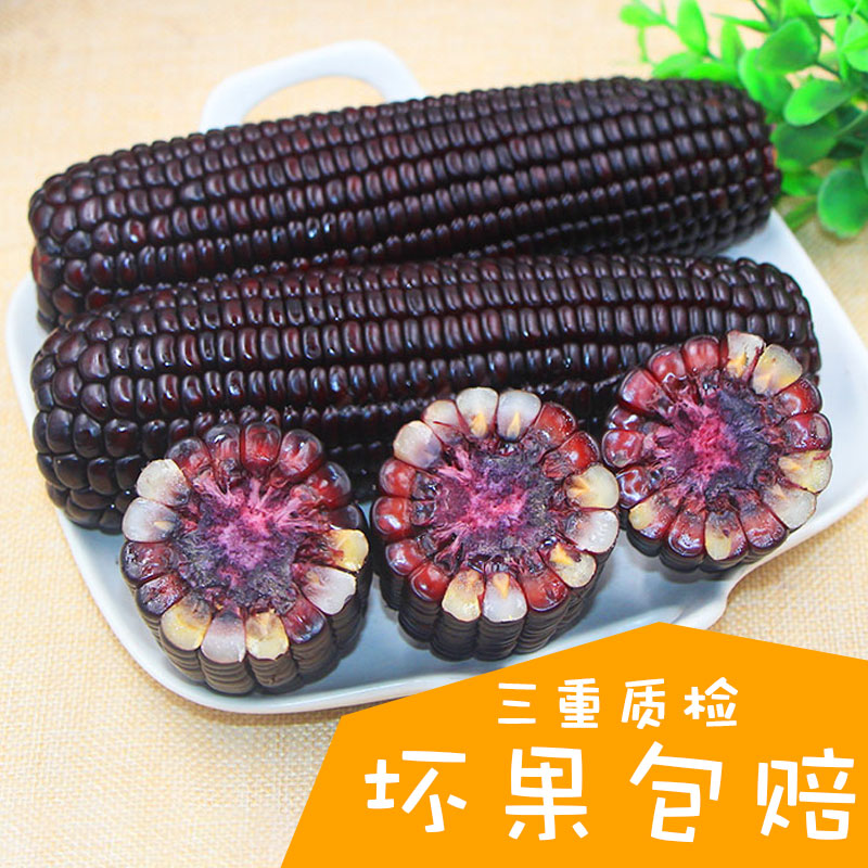 [10 get 2 free] Fresh vacuum packing of Shanxi black corn and waxy corn ...