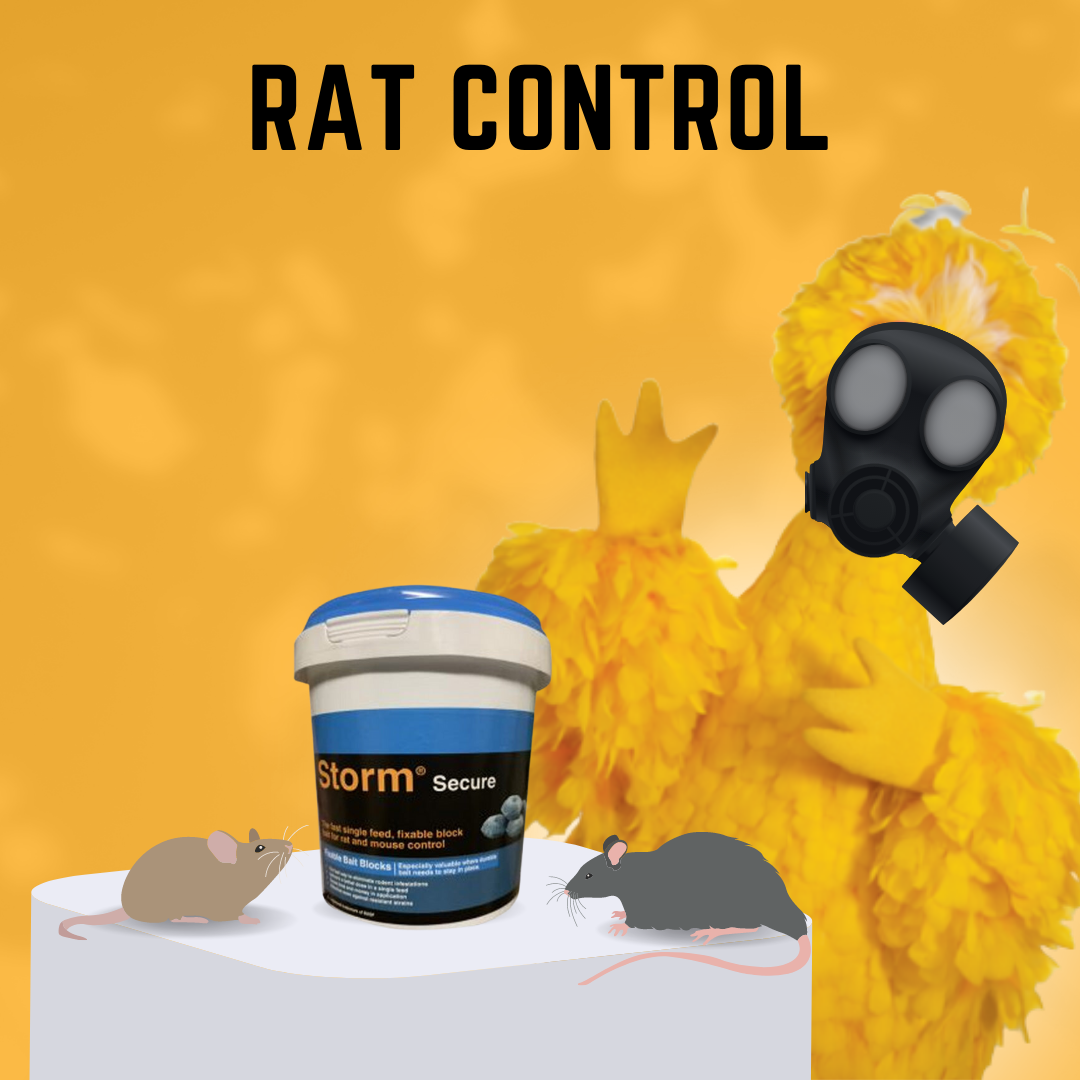 STORM SECURE RAT WAX BAIT |FLOCOUMAFEN | RODENTICIDE - 500G | Lazada PH