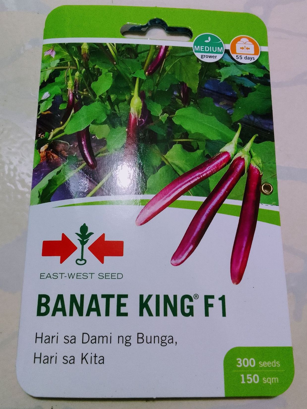 BANATE KING F1 HYBRID EGGPLANT SEEDS (300 SEEDS) BY EAST WEST | Lazada PH