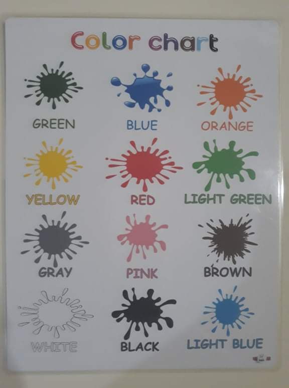 Laminated Chart Color, Educational Chart for kids (Size 8.5 x 11 inches ...