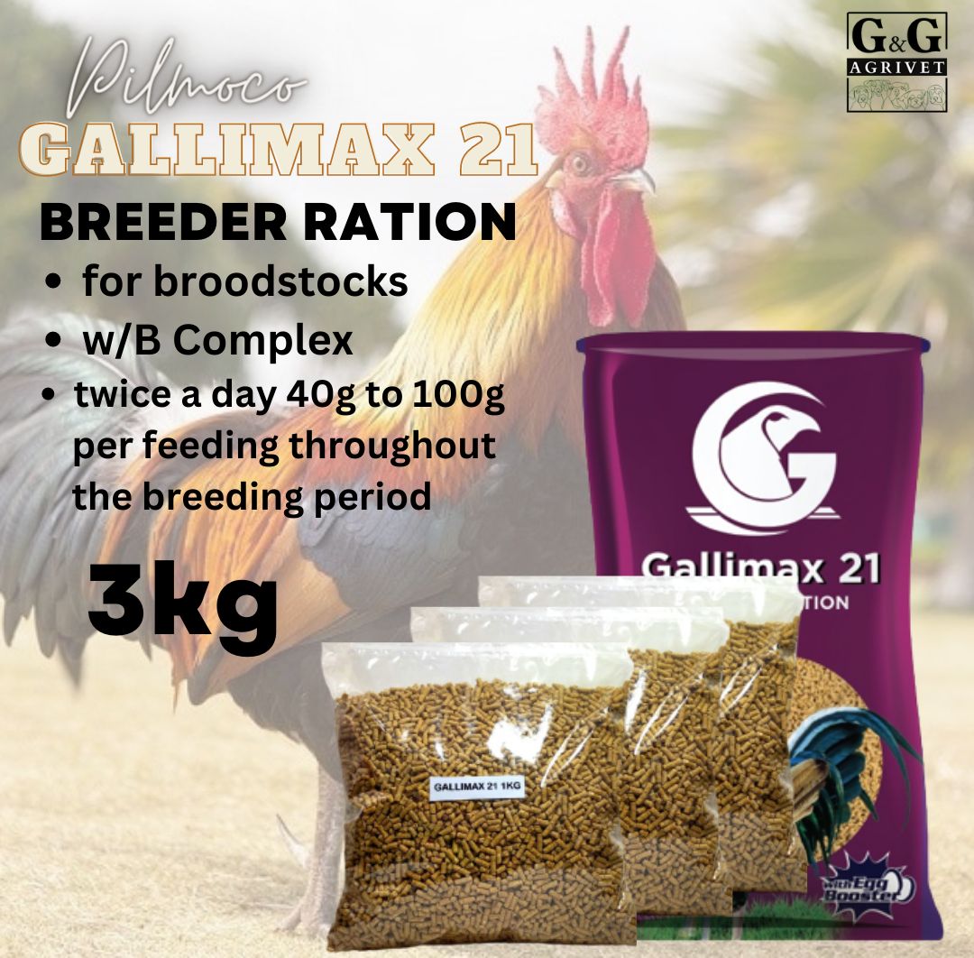 [G&G AGRIVET] 3KG PILMOCO GALLIMAX 21 BREEDER RATION / FOR GAMEFOWL ...