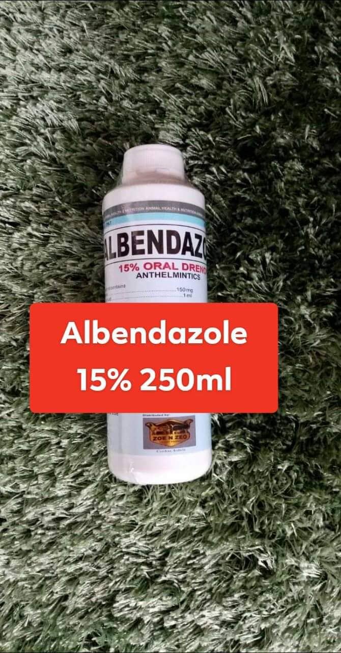 15 % ALBENDAZOLE 250 ML | Lazada PH