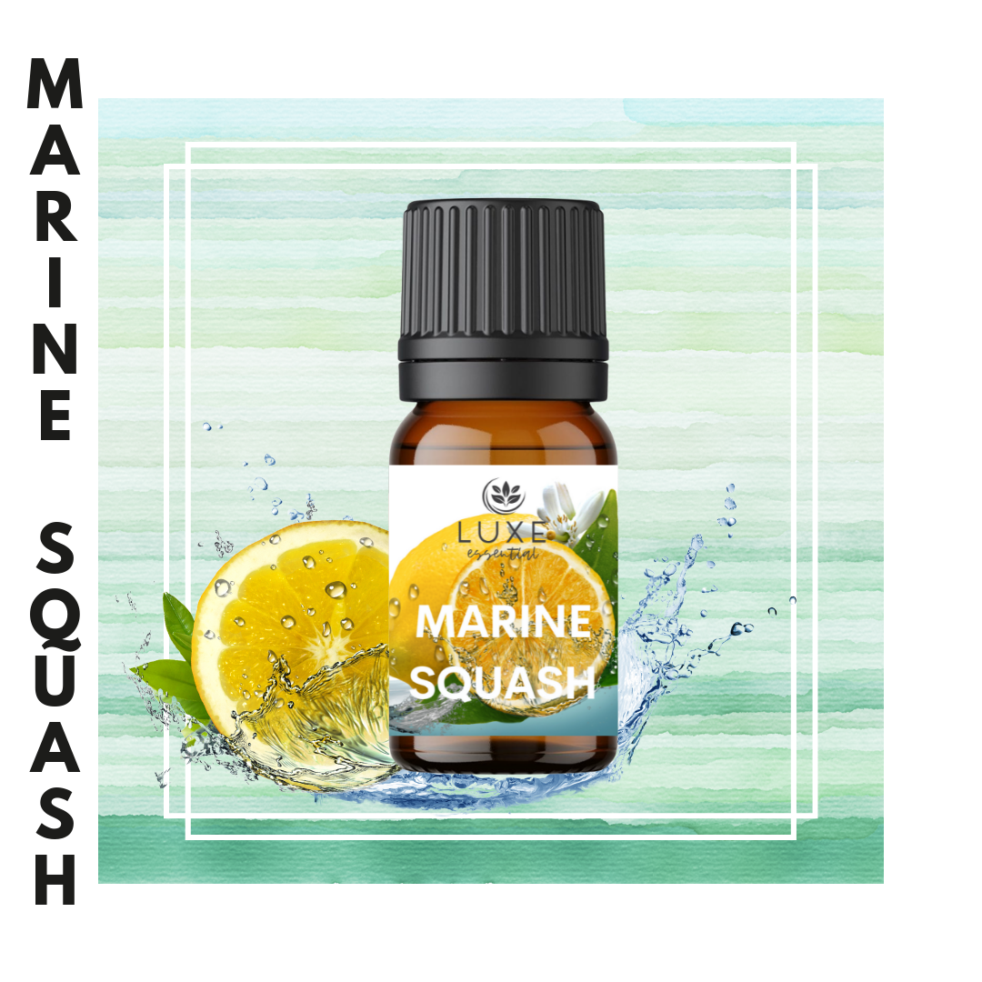 NATURE FRESH Luxe Essential Fragrance Oil Scent Air Humidifier | Lazada PH