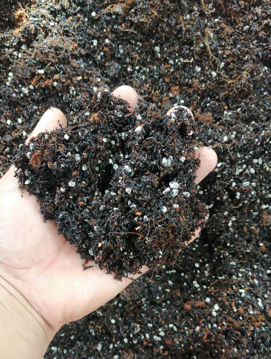 BUHAGHAG NA LUPA SOIL Potting Mix Best Suited For Potted Plants ...