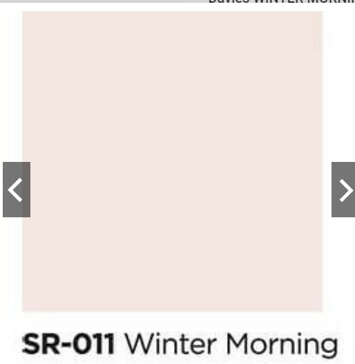 DAVIES PAINT SR 011 WINTER MORNING 1LITER | Lazada PH