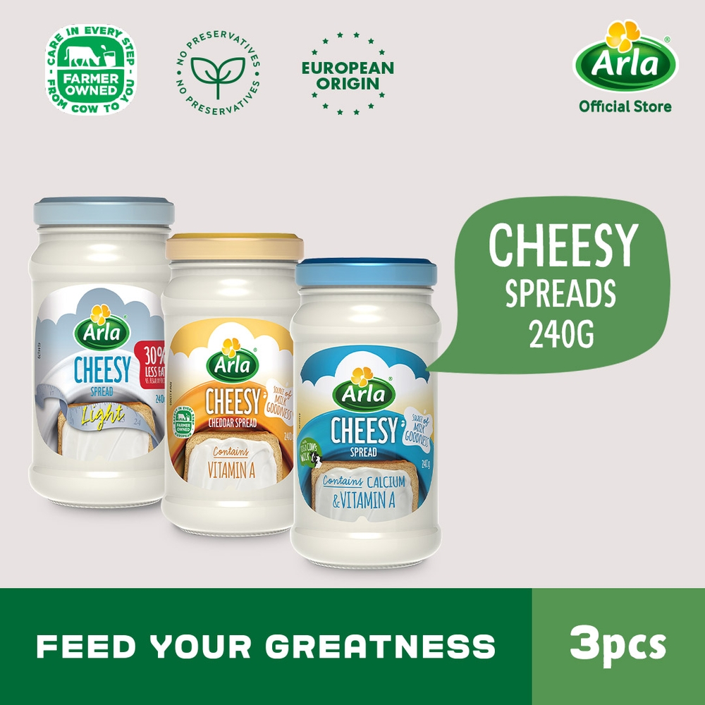 Arla Cheesy Spread 240g All Variants | Lazada PH