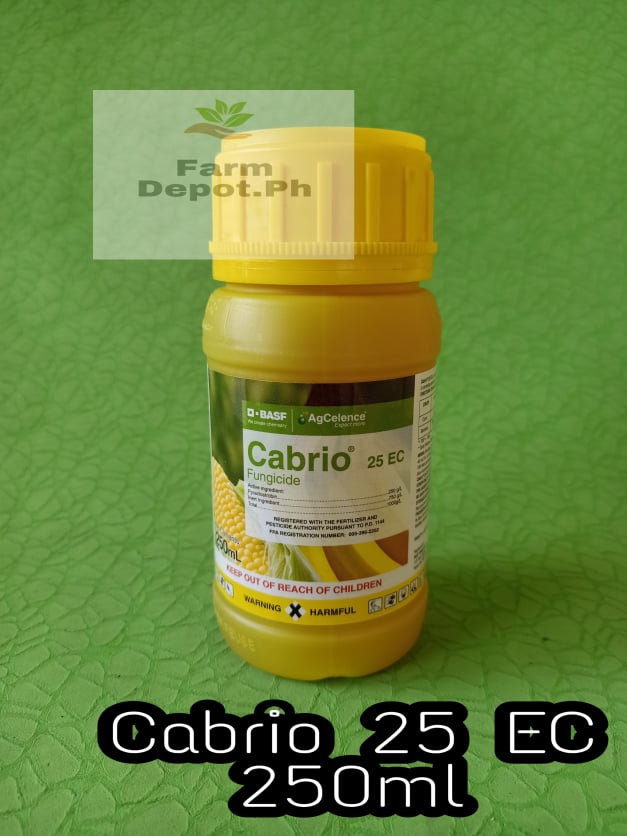 Cabrio 25EC Fungicide 500ml/250ml by BASF | Lazada PH