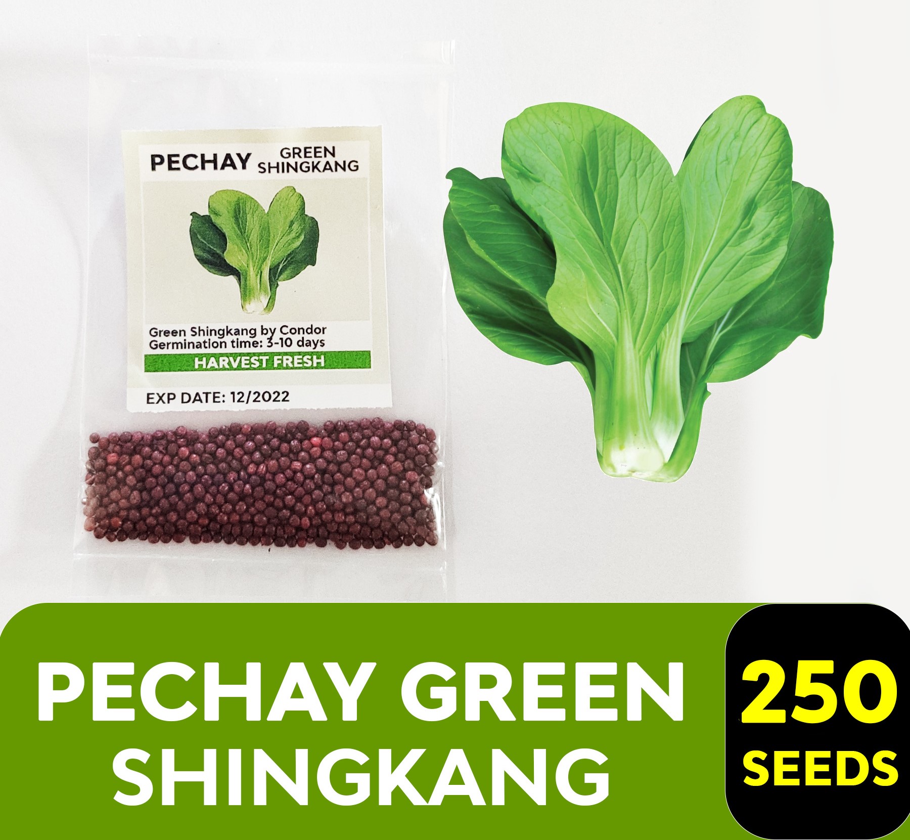 Pechay Seeds - Pechay Pavito Tsoi Sum Green Pakchoi Flowering Shingkang ...