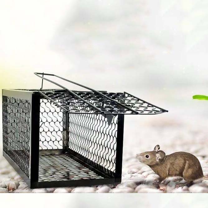 G&P- Mouse Trap Live Rat Rodent Trap | Lazada PH