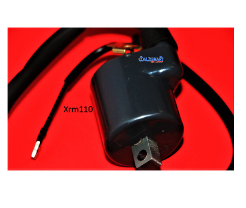 Ignition Coil SAX( SMASH 115 & XRM 110 ) | Lazada PH