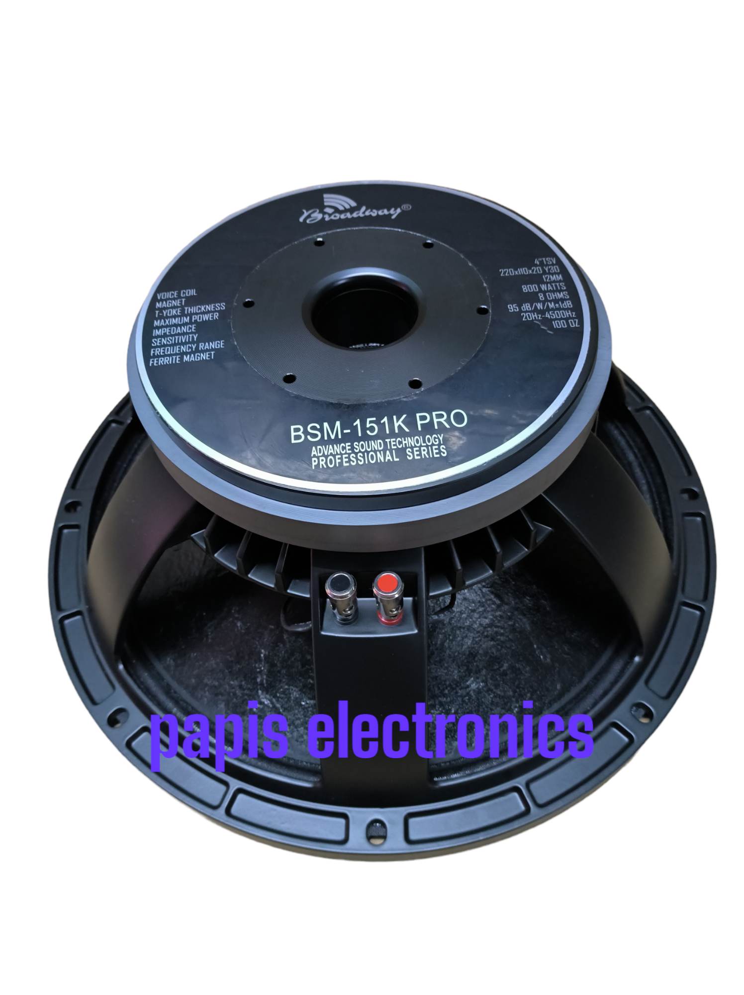 Broadway BSM-151K PRO 15INCHES SPEAKER 800WATTS | Lazada PH