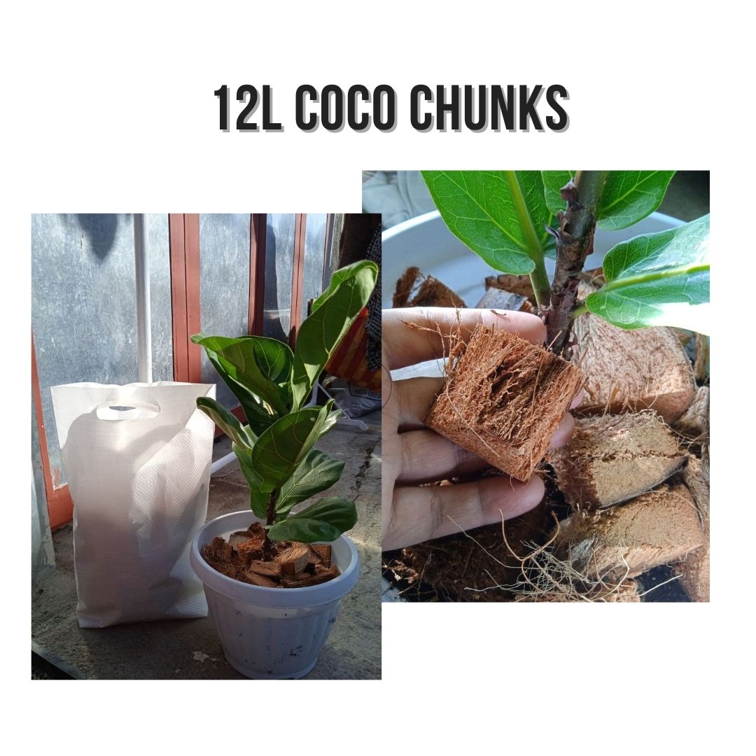 COCO CHUNKS 12L in REUSABLE SACK Bag BUNOT COCO HUSK CHOPPED / COCO ...