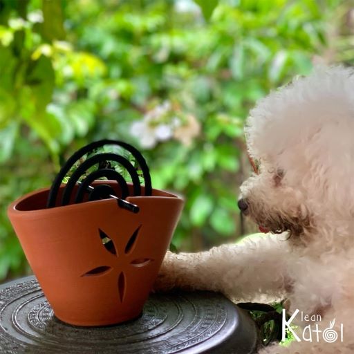 ️Klean Katol Bicol pot, katol holder, katol pot, Comes w/ 1 box of ...