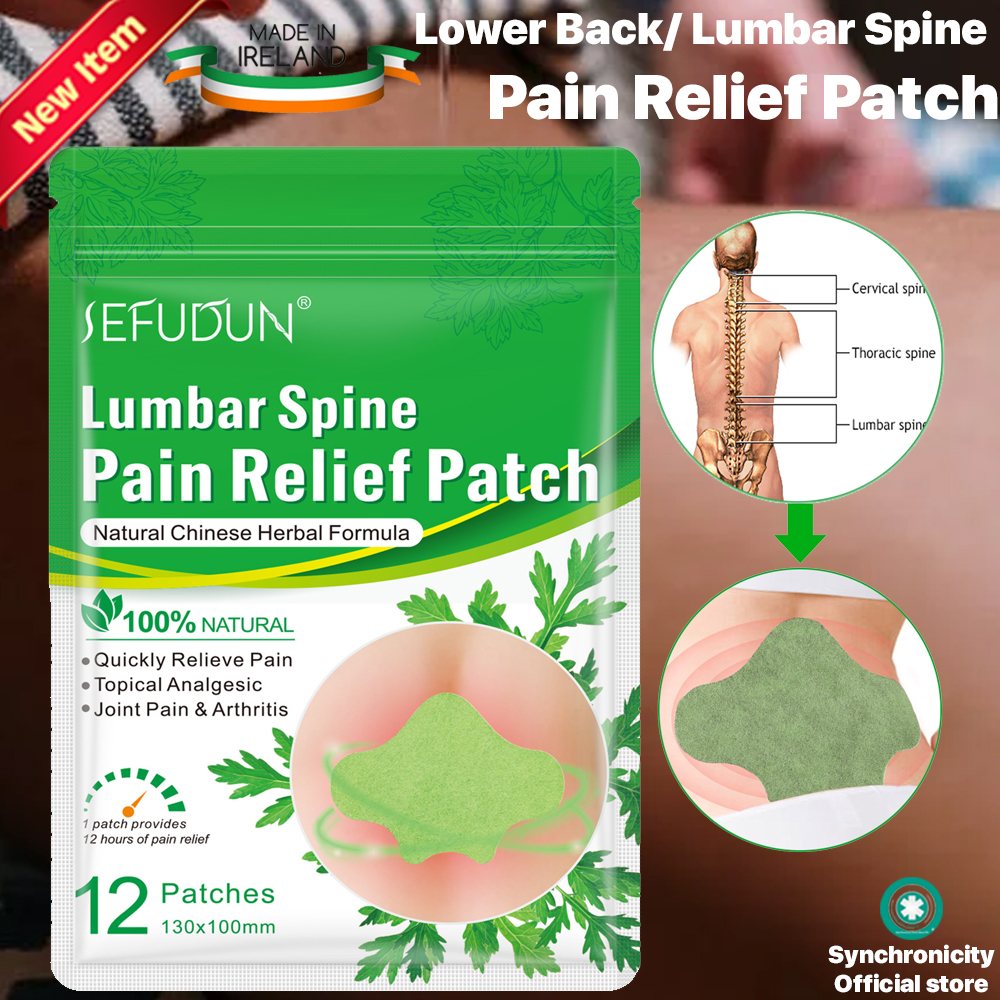 SEFUDUN Back Pain Relief Patch | Upper Lower Back Heat Sticker ...