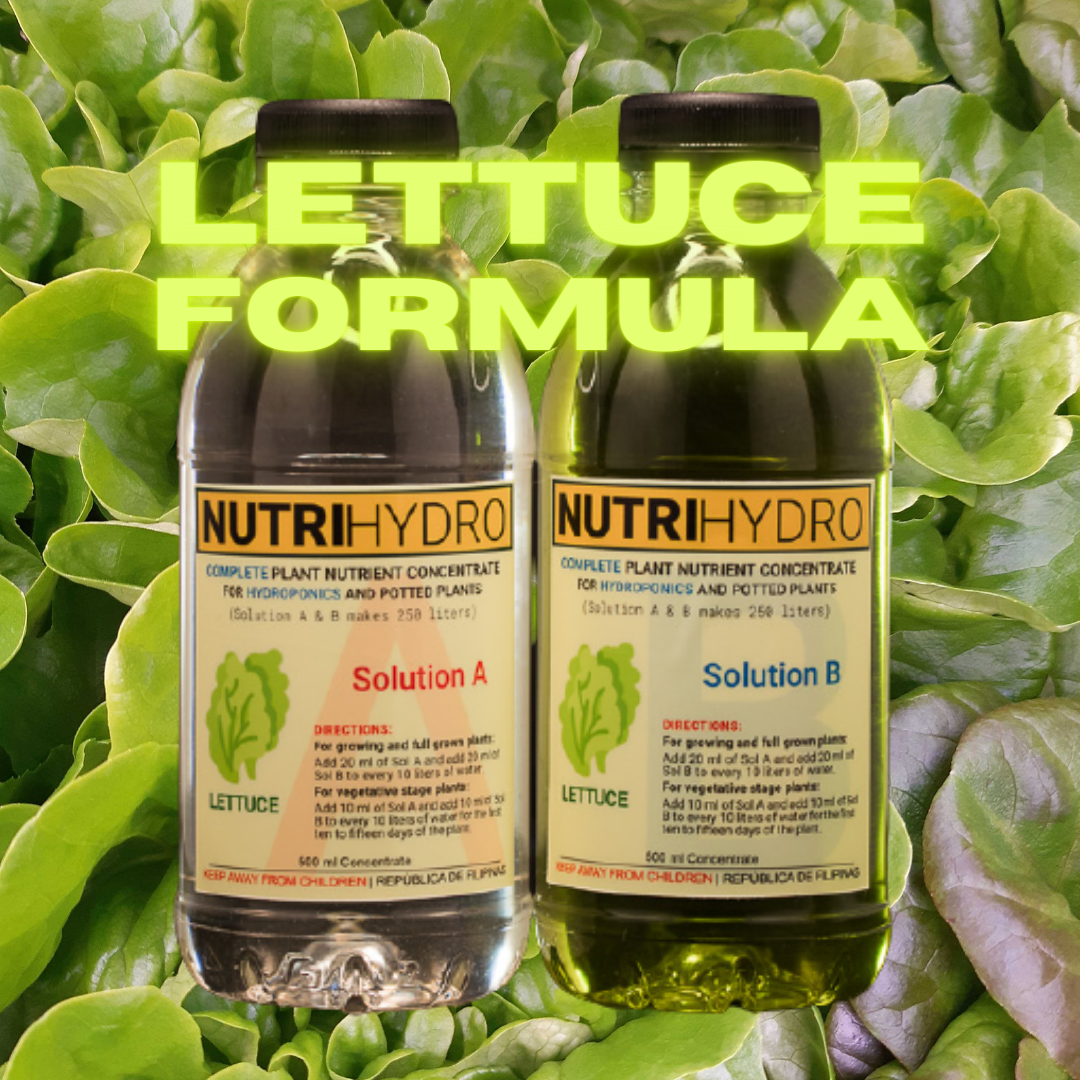 NutriHydro LETTUCE NUTRIENT SOLUTION | Hydroponics | NutSol | 500 mL, 1 ...