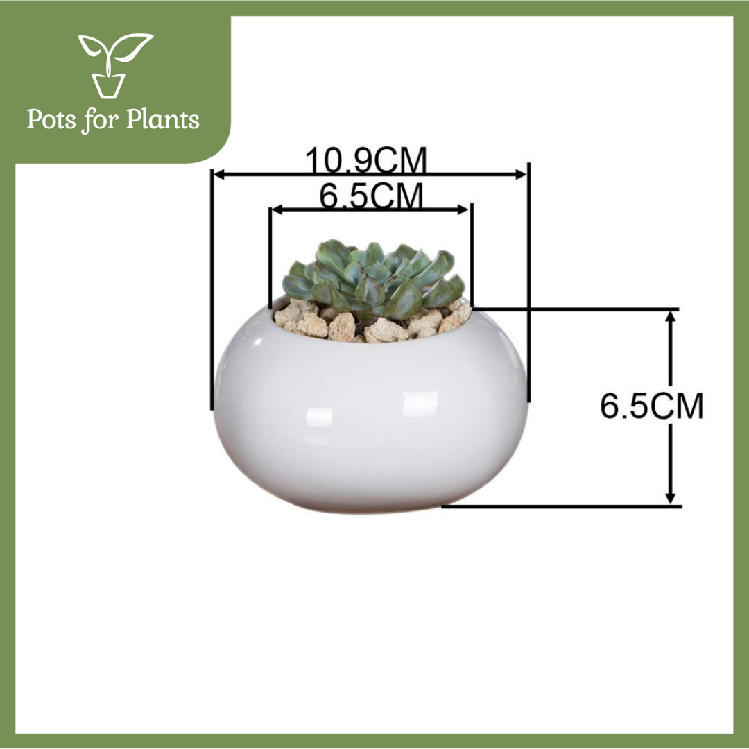 Roundish Square Porcelain Ceramic Succulent Desk Pot - Pots for Plants ...