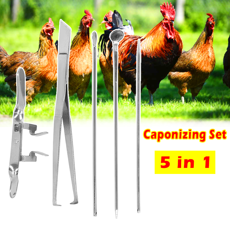 5 in 1 Chicken capon kit Stainless steel Caponizing tools Castration ...