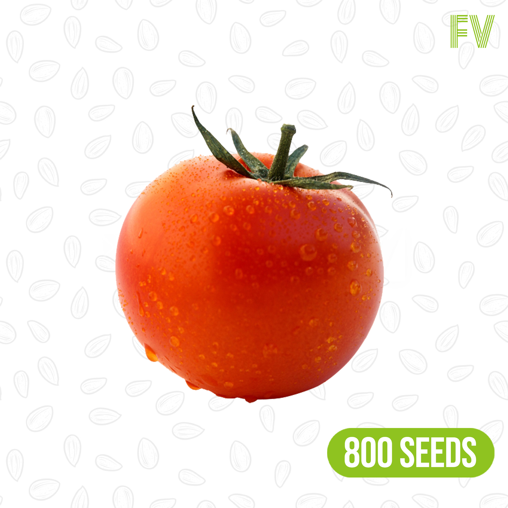 FV Israel tomato seeds 300pcs | FineVegetable | Big Tomato | Lazada PH