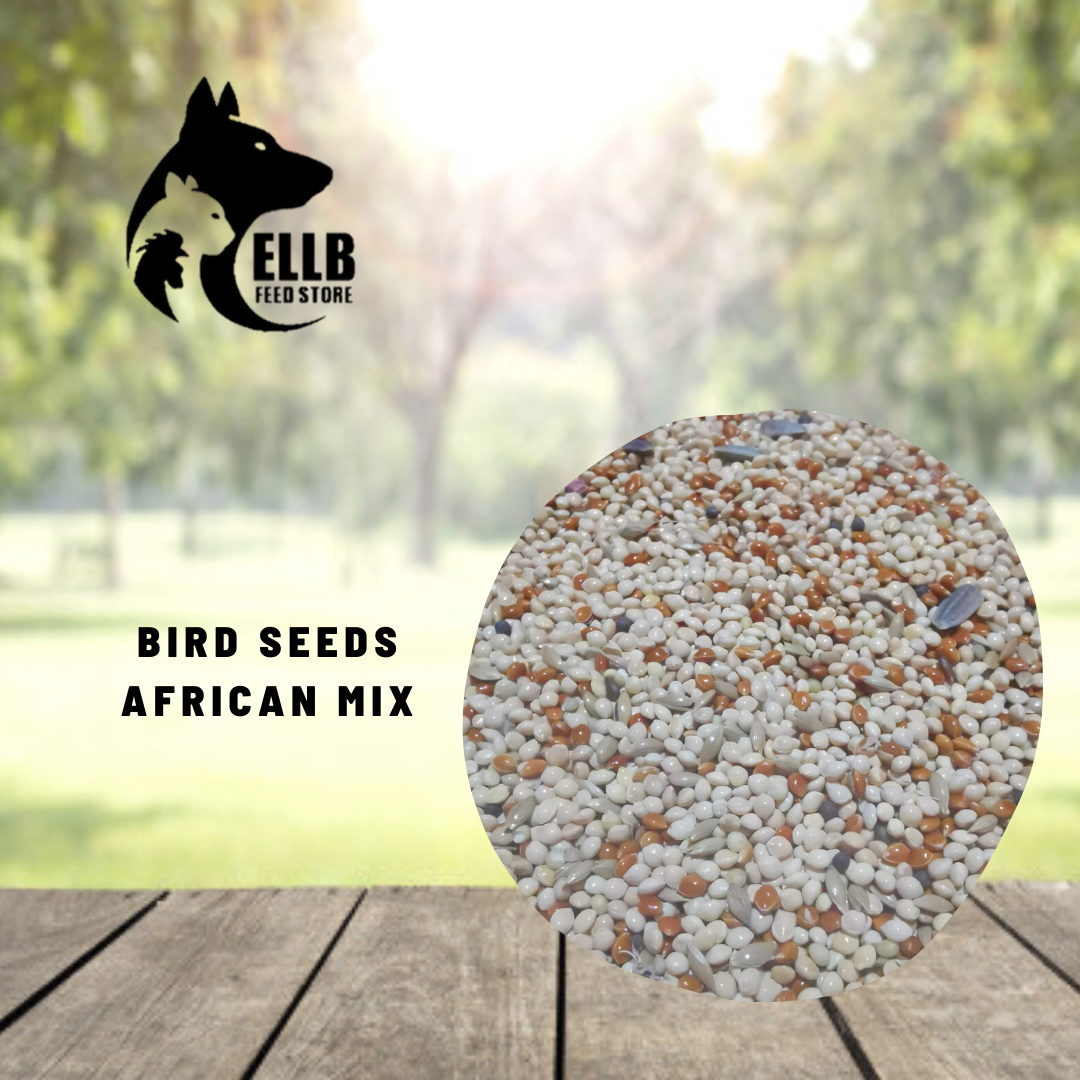 African Mix Bird Seed Mix 1KG Repacked [MAX 3KGS PER ORDER] | Lazada PH