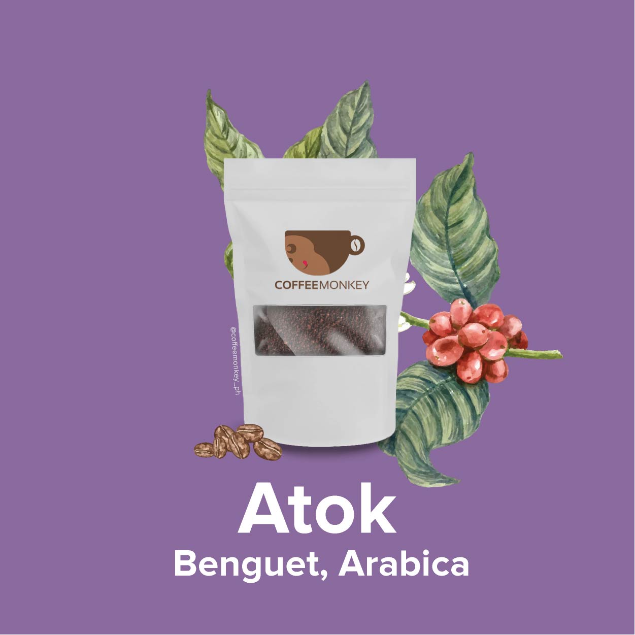 Atok Benguet Arabica Whole Coffee Beans (1kg) | Lazada PH