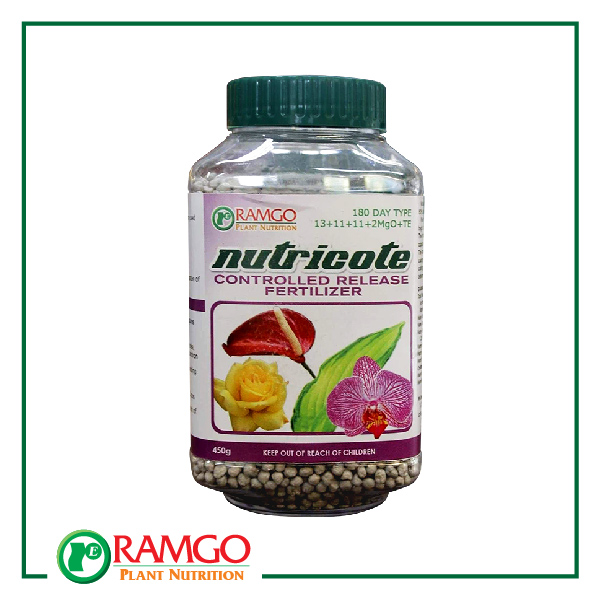 450g Nutricote Controlled Release Fertilizer | Lazada PH