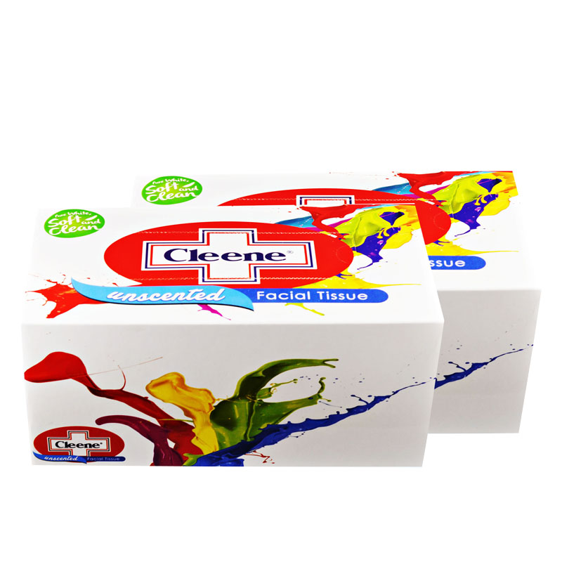 Cleene Facial Unscented Tissue Splatter Box - 190 Pulls x 2 Packs ...