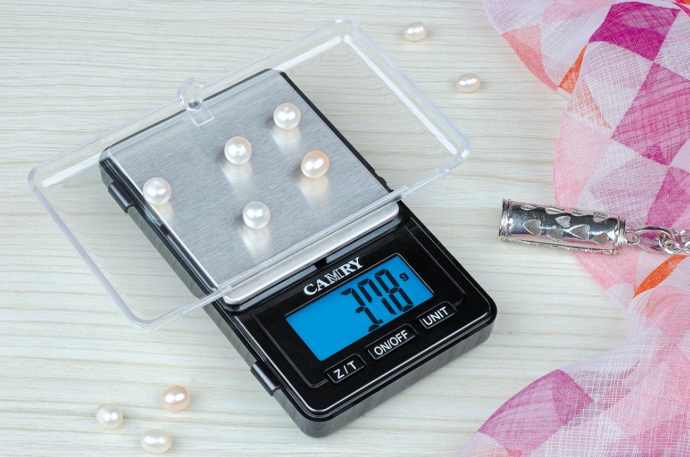 Camry Electronic Pocket Scale with Present Counter Model: EHA701 ...