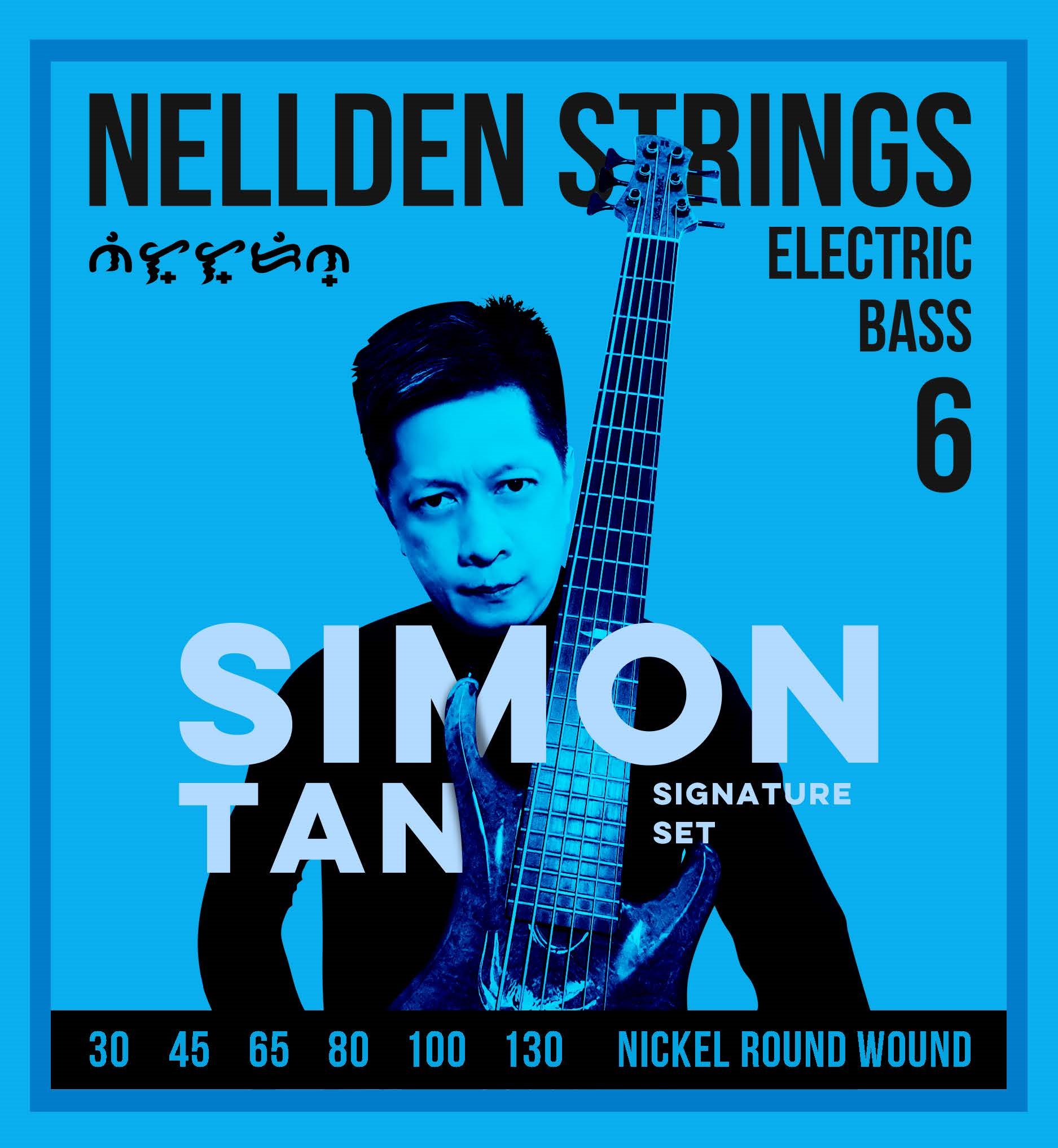 Nellden Strings Simon Tan Signature 6 Bass Strings | Lazada PH