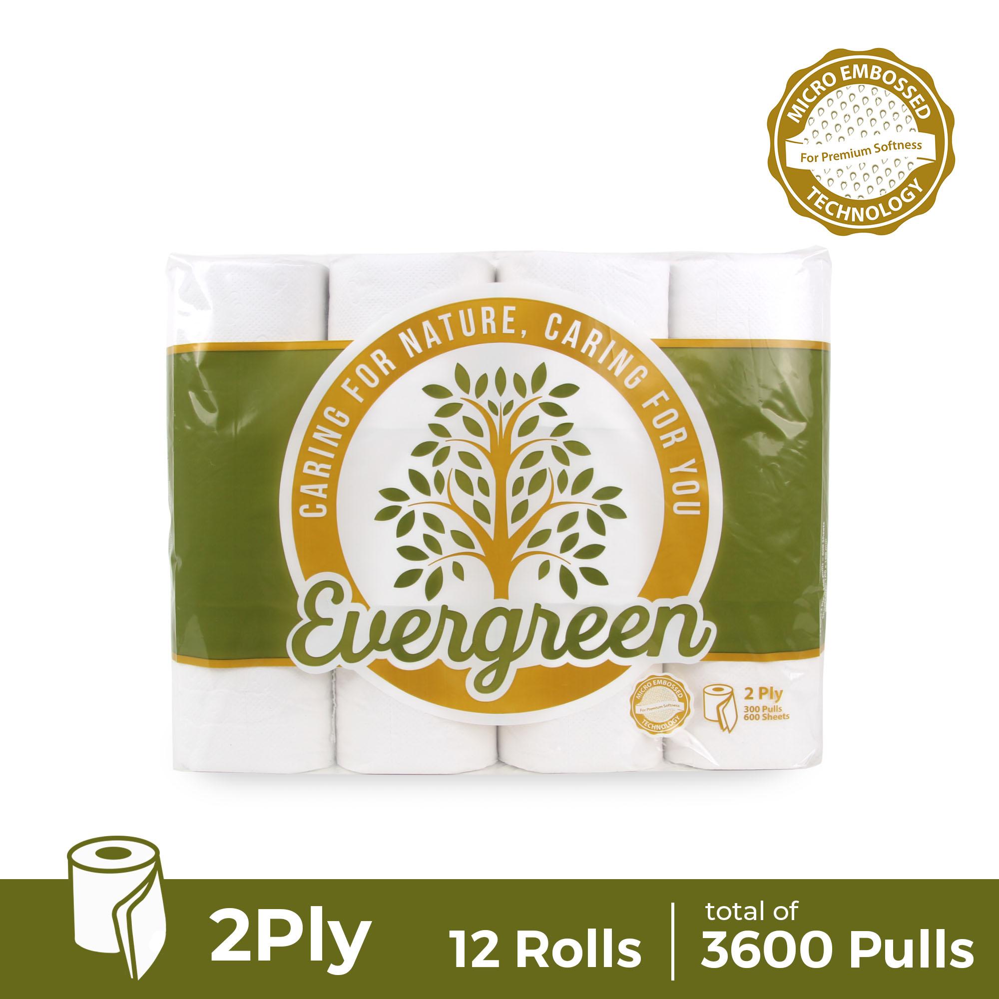 Evergreen Bathroom Tissue 2 Ply - 12 Rolls x 1 Pack | Lazada PH