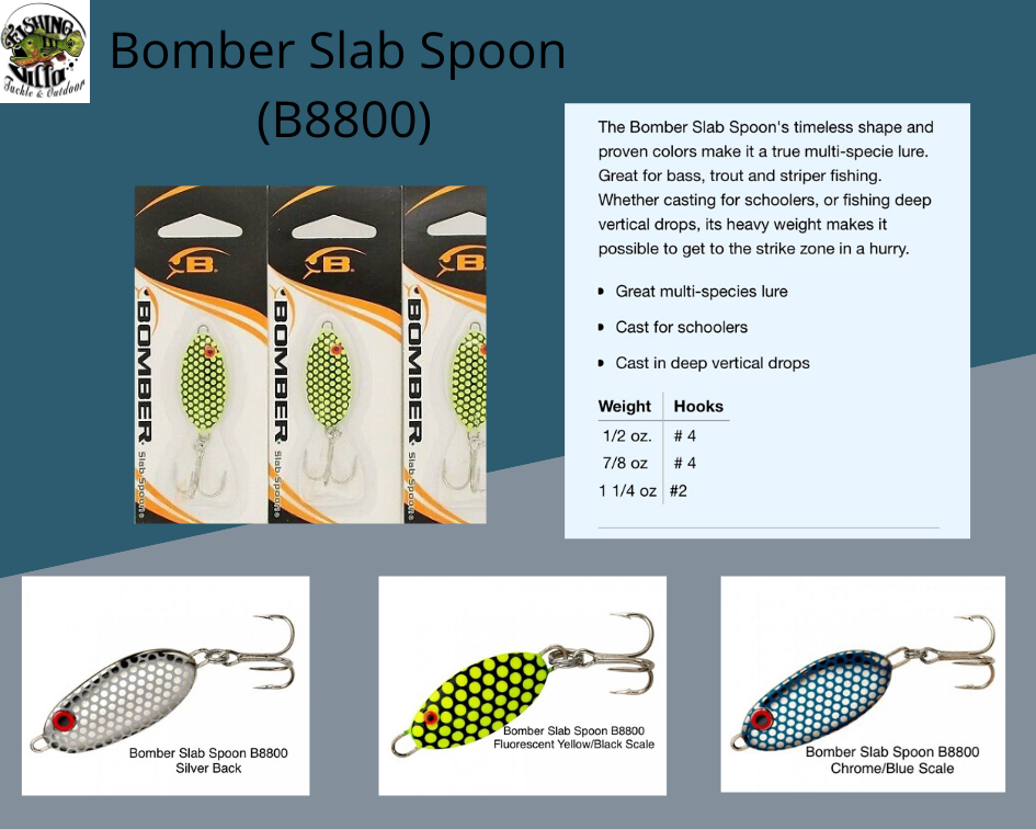 Bomber Slab Spoon B8800 multi-species lure | Lazada PH