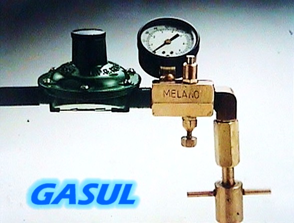 Gas Safety Regulator with Gauge for all types of LPG ( M-Gas, Gasul ...