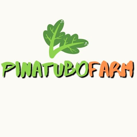Shop online with PinaTUBO Farm now! Visit PinaTUBO Farm on Lazada.